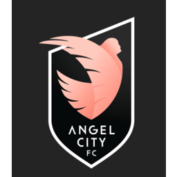 Sports Scientist - Angel City FC | TeamWork Online